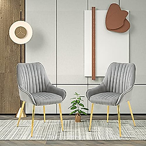 Dolonm Modern Living Dining Room Accent Chair Velvet Mid-Century Upholstered Side Chair with Gold Metal Legs Leisure Club Armchair (Grey)