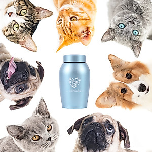 Stainlee Steel Pet Urns,Premium Urns for Dog and Cat Ashes,Paws Engraved Dog Urn for Ashes,Cat Creamtion Urn for Ashes,Pet Urn for Large Dog