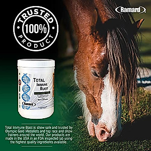 Ramard Total Immune Blast - Equine Immune Support, Horse Vitamin & Powder Supplement w/Zinc, Selenium, Omega 3, Omega 6 & Vitamins w/Nucleotides, Equine Powder & Supplements 1.12 lbs. 30 Days Supply