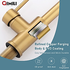 GIMILI Brushed Gold Kitchen Faucet with Soap Dispenser, Commercial Single Handle Spring Pull Out Kitchen Sink Faucets with Pull Down Sprayer