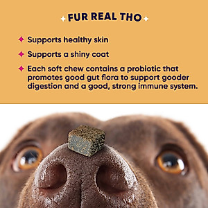GoodGood Skin + Coat Dog Supplements; Supports Healthy Skin and a Shiny Coat; Chewable Soft Treats with Omega-3 Fatty Acids, and Vitamin E; Probiotics; 90 Natural Flavor Chews