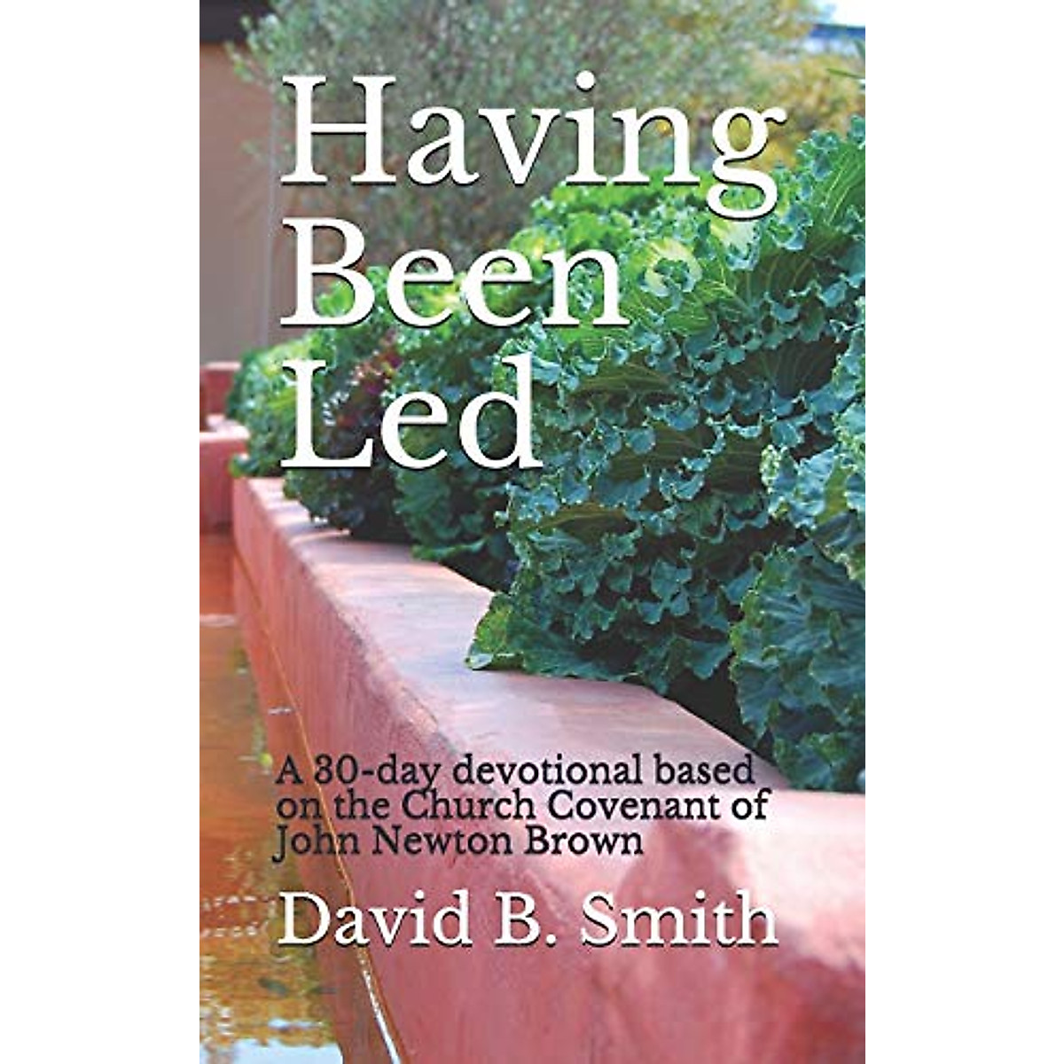 Having Been Led: A 30-day devotional based on the Church Covenant of John Newton Brown