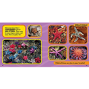 National Geographic Little Kids First Big Book of the Ocean (National Geographic Little Kids First Big Books)