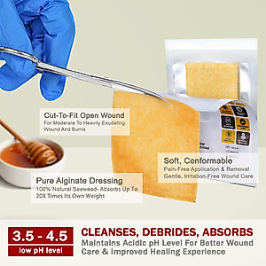 EVERLIT Honey Calcium Alginate Dressing 2” x 2” Pack of 10 | Sterile, Highly Absorbent Dressing With Pure Manuka Honey | Advanced Wound Care For Cuts, Skin Tears, Burns, Pressure Sores, Diabetic Ulcer