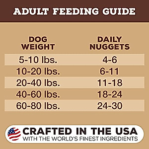 Primal Freeze Dried Nuggets for Dogs Lamb, Complete Meal Freeze Dried Dog Food Healthy Grain Free Raw Dog Food, Crafted in The USA (14 oz)