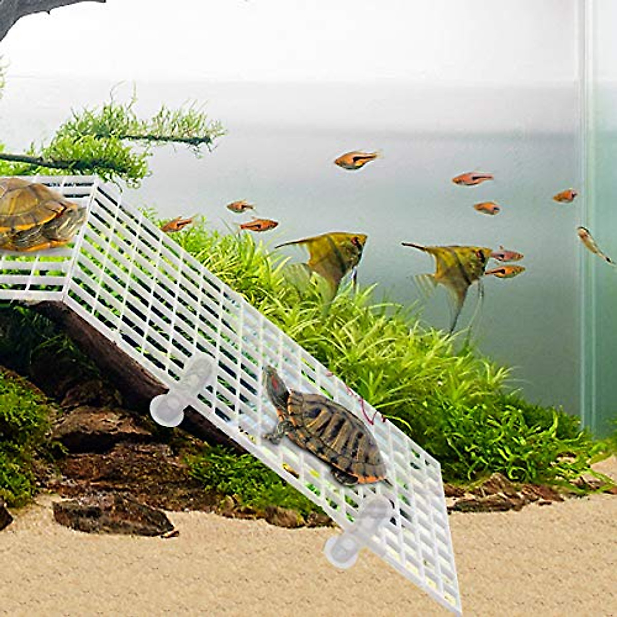 WEAVERBIRD 2Pcs Aquarium Divider Tray Plastic Grid Divider Tray Egg Crate for Aquarium Fish Tank Bottom Isolation, White