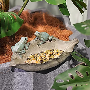 Bird-Feeder Wild Bird-Bath Bowl Outdoors - Garden Decor Polyresin Frogs on Leaf Bird Bath for Yard 12 x 7.25 x 3.5 inch-Newman House Studio