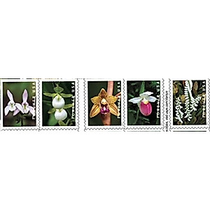 USPS Wild Orchids Flowers Forever Stamps Postal First Class US Postage Stamps Birthday Wedding Celebration Engagement Anniversary Bridal Shower (Strip of 10)