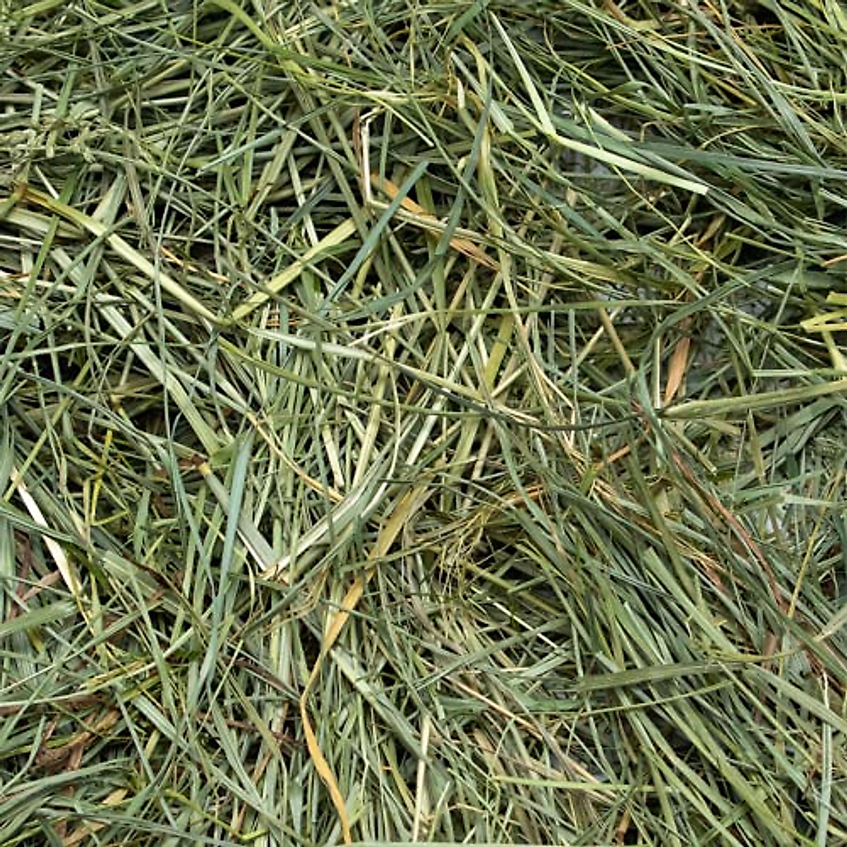 Rabbit Hole Hay Ultra Premium, Hand Packed Mountain Grass for Your Small Pet Rabbit, Chinchilla, or Guinea Pig (5lb)