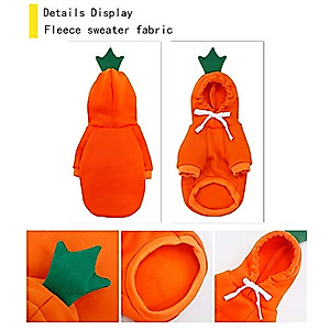 Puppy Raincoat for Small Dogs Girl Clothing for Dogs Warm Coats Casual Jacket Pet Clothes Dog Close for Boys