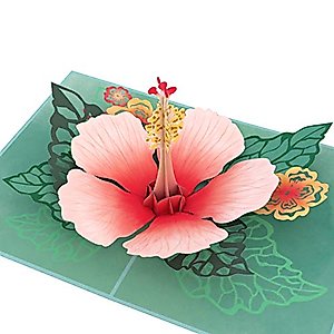 Lovepop Hibiscus Bloom Pop Up Card, 5x7-3D Greeting Card, Pop Up Paper Flower Card, Mother's Day Pop Up Card, Card for Mom, Wife or Friend, Pop Up Anniversary Card, Thinking of You