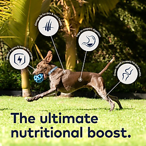 ZIWI Peak Air-Dried Dog Food – Chicken - All Natural, High Protein, Grain Free, Limited Ingredient w/ Superfoods (16oz)