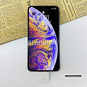 Lightning to 30-pin Adapter，Apple MFi Certified iPhone 8-Pin Male to 30-Pin Female Adapter Charging Sync Converter Connector Compatible iPhone 13/13P/12/11/X/8/7/6P/5S/4/iPad/iPod (No Audio)