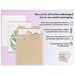 Baby Safari Animals Wall Art Prints - Nursery Decor - Set of 6-8x10 - Jungle Animal Pictures - Unframed - Watercolor