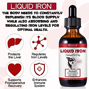 Liquid Iron Supplements for Dogs,LiquiI Iron with Vitamin C and B12,Supports Anemia, Low Enery Levels and Lethargy,Promotes Blood Health, Helps with Formation of Red Blood Cell