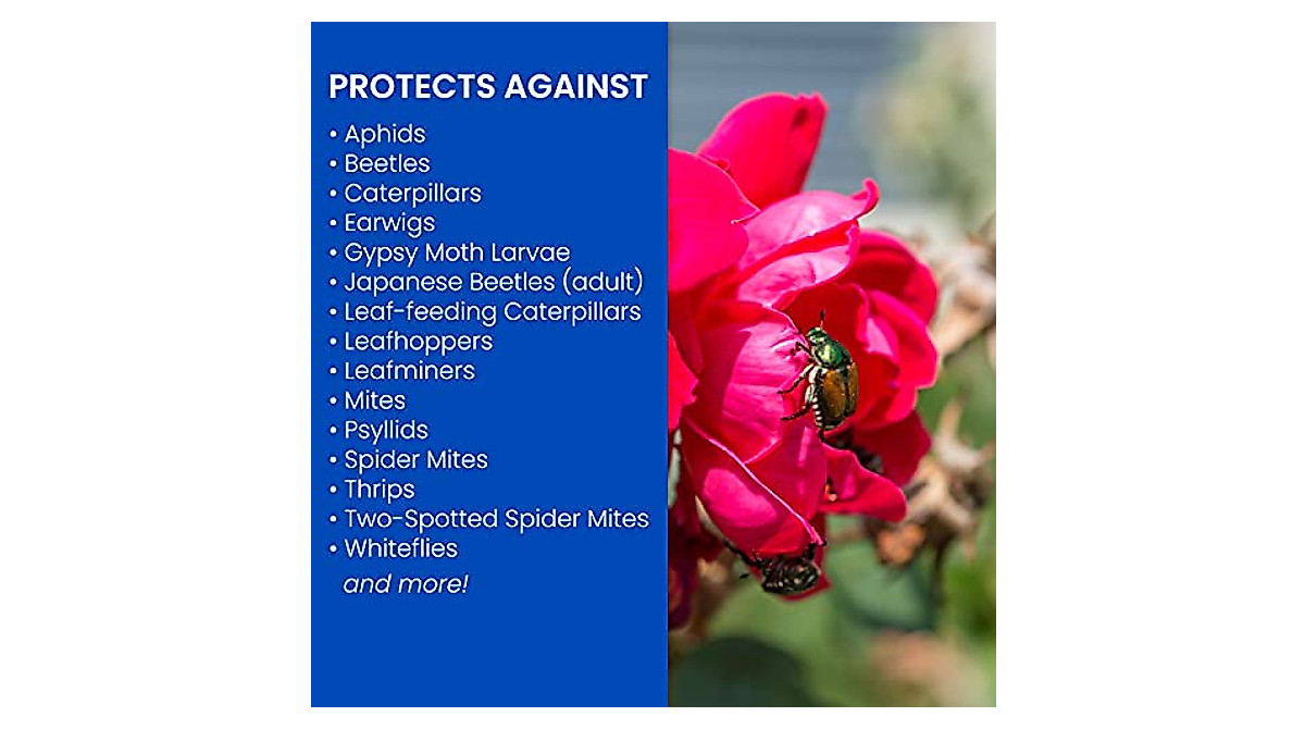 BioAdvanced 3-in-1 Insect Control - 32 oz Concentrate