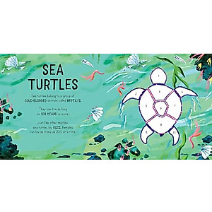 Color with Stickers: Ocean: Create 10 Pictures with Stickers!