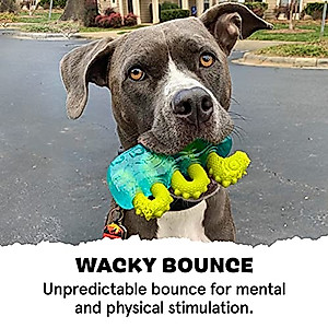 Barkbox Tough Dog Toys & Chews for Aggressive Chewers, Durable Rubber & Nylon Super Chewer Treat Dispensing, Balls, & Teething Toys for Small, Medium, & Large Dogs & Puppies, The Dog Ness Monster
