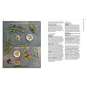 Body into Balance: An Herbal Guide to Holistic Self-Care