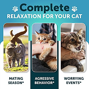 Hemp Cat Calming Treats - Cat Anxiety Relief - Storm Anxiety, Сomposure, Grooming, Separation, Travel - Calming Aid for Cats with Hemp Oil, L-Theanine - Cat Melatonin - Made in USA - 135 Soft Chews