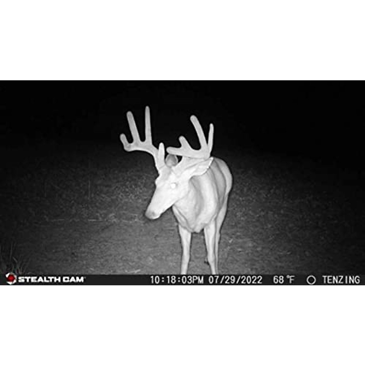 Stealth Cam Browtine 3 Camera Bundle- 18MP Digital Camera - 480P Video Capability