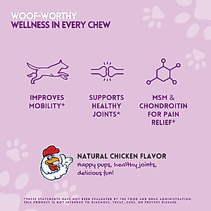 Herbion Pets Joint Care Chews with Glucosamine & Turmeric, 120 Soft Chews, MSM & Chondroitin for Pain Relief, Improves Mobility, Supports Healthy Joints, Made in The USA - for Dogs 12 Weeks+