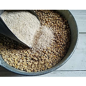 Fresh Eggs Daily Brewer's Yeast with Garlic Powder and Niacin for Ducks Feed Supplement Vitamins for Backyard Chickens 5LB