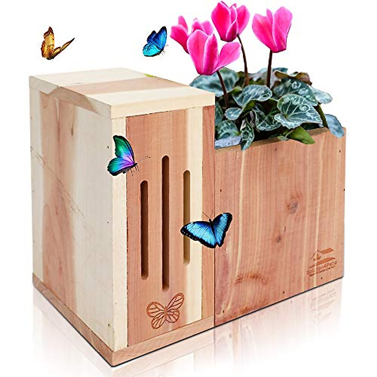 Solution4Patio USA Cedar Butterfly House & Flower Pot 2 in 1 Combination Multifunctional Design with Drainage Holes, 9.2 in. L x 5.7 in. W x 8.0 in. H #B309A00