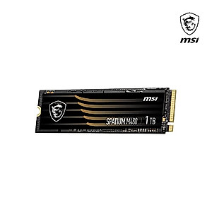 MSI SPATIUM M480 PCIe 4.0 NVMe M.2 1TB Internal SSD PCIe Gen4 NVMe 1.4 3D NAND 1400 TBW (SPATIUM M480 PCIe 4.0 NVMe M.2 1TB)