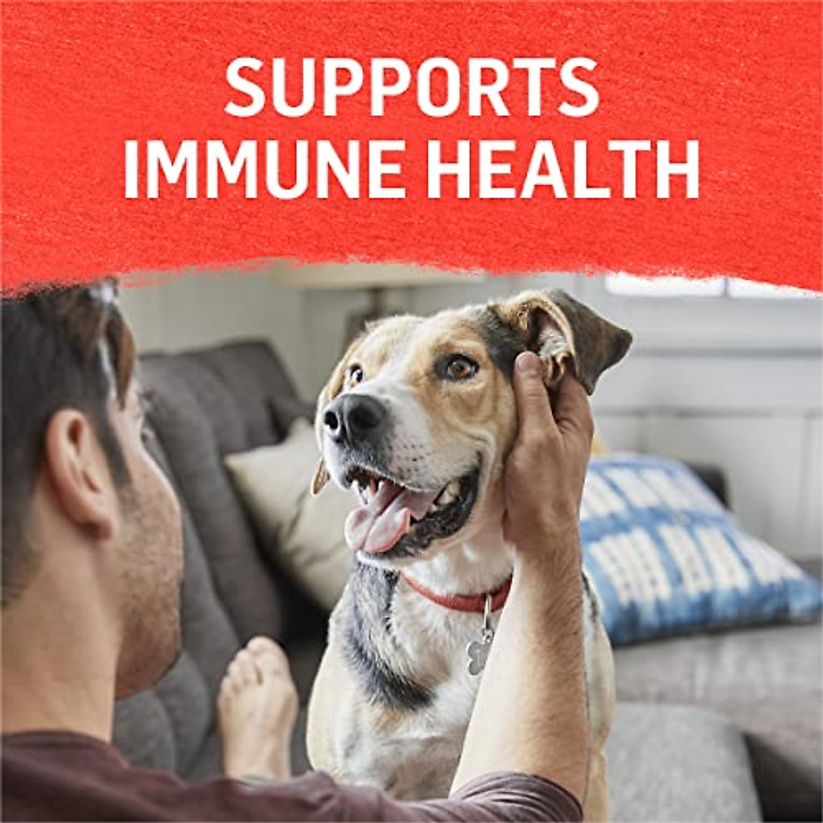 Purina Beyond Chicken, Beef and Cod Ground Entree Grain Free Wet Dog Food Variety Pack - (12) 13 oz. Cans