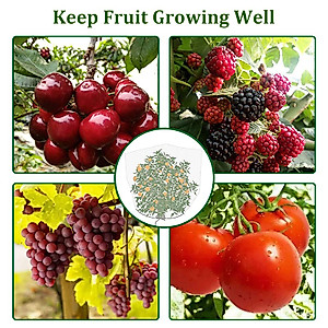Agfabric Bird Netting Garden Netting Insect Pest Barrier,Plant Cover Fruit Tree Netting Mesh Protection Bag with Drawstring,39" Hx39 W,White