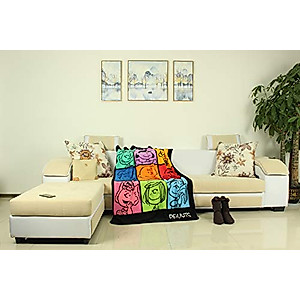 Silver Buffalo Peanuts Multicolor Character Grid 45 x 60 Inch Fleece Throw Blanket