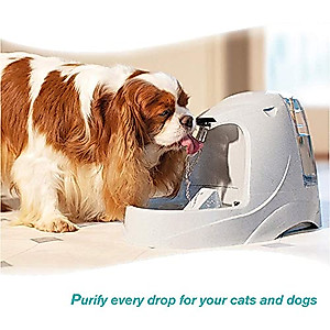 HiWater 12 Pack Water Filter Compatible with Cat Dog Fountains Pet Cartridges Filter Replacement