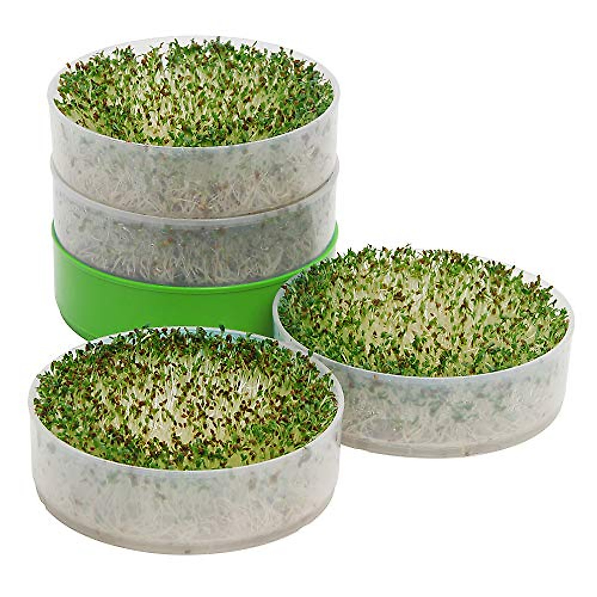 Kitchen Crop VKP1234 Deluxe Kitchen Seed Sprouter, 1 Oz Alfalfa and 1 Oz Broccoli Included