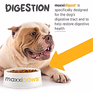 maxxipaws maxxidigest+ Probiotic & Prebiotic Powder Supplement - Digestive & Immune Support for Dogs, 13.2oz