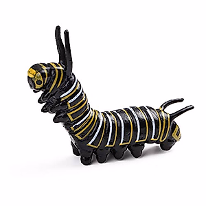 UANDME 4pcs Butterfly Life Cycle Kit Lifestyle Stages of Monarch Butterfly Teaching Tools for Kids, Students