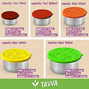TAVVA Bundle Dips Salad Dressing Container To Go – 3X1.5oz Containers Earth Stainless Steel Food Containers [Set of 5]
