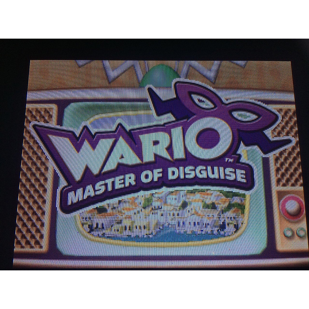 Wario: Master of Disguise