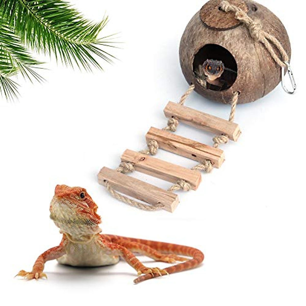 Gecko Coconut Husk Hut, Bird Hut Nesting House Hideouts with Ladder, Coco Texture Provide Food, Durable Cave Habitat with Hanging Loop for Leopard Gecko, Reptiles, Amphibians and Small Animals