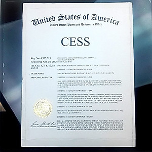 CESS F-Type Balun 300-75 ohm TV Connector Antenna Matching Transformer - F 300/75 ohm Plug (2 Pack)