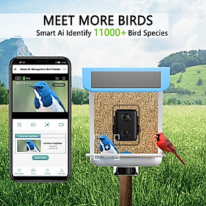 Bird Feeder with Camera,Bird Feeder with Camera Wireless Outdoor,Smart Bird Feeder with Camera,Video Bird Feeder Camera with Solar Camera Bird Feeders for Outside Camera Bird Feeder