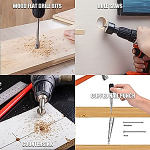 VOLLTEK Drill Bit Set, 246-Pieces Drill Bits and Driver Set for Wood Metal Cement Drilling and Screw Driving, Combo Kit Assorted in Plastic Carrying Case