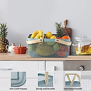 Lifuxiu Metal Mesh Steel Basket mesh basket with handle，Storage Organizer Basket Fruit Vegetable Basket, Solutions for Kitchen, Garden ,Picnic,Gifts and More (Blue)