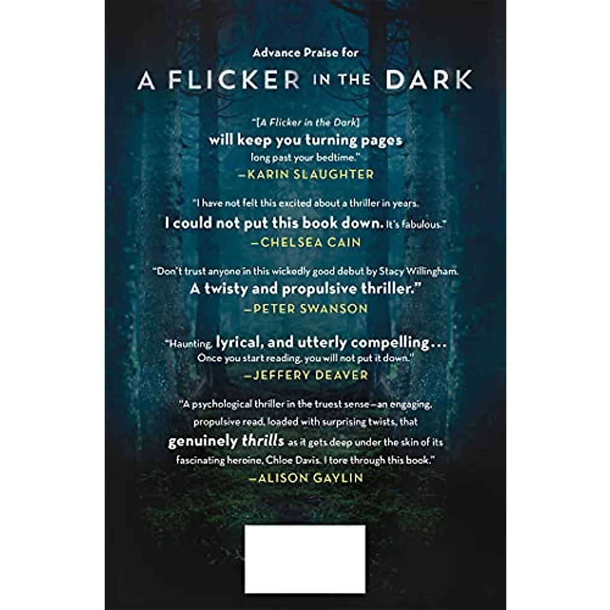 A Flicker in the Dark: A Novel