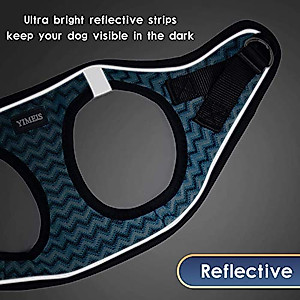 YIMEIS Dog Harness and Leash Set, No Pull Soft Mesh Pet Harness, Reflective Adjustable Puppy Vest for Small Medium Large Dogs, Cats (Blue, X-Small (Pack of 1)