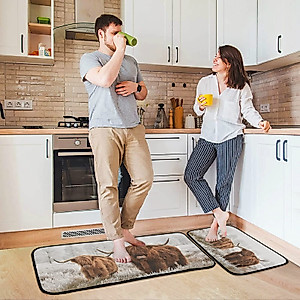 JUNZAN Scottish Highland Cow Kitchen Rugs and Mats Set of 2 Non Slip Anti Fatigue Runner Rug for Farmhouse Laundryroom Bathroom Home Western Decor Floor Mat