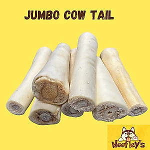 Woofley's Buffalo Cow Tail Jumbo Bone - (8 Count) - Meaty Thick Bones for Dogs - No Splinter Dog Bones - Long Lasting Dog Chews and Bones