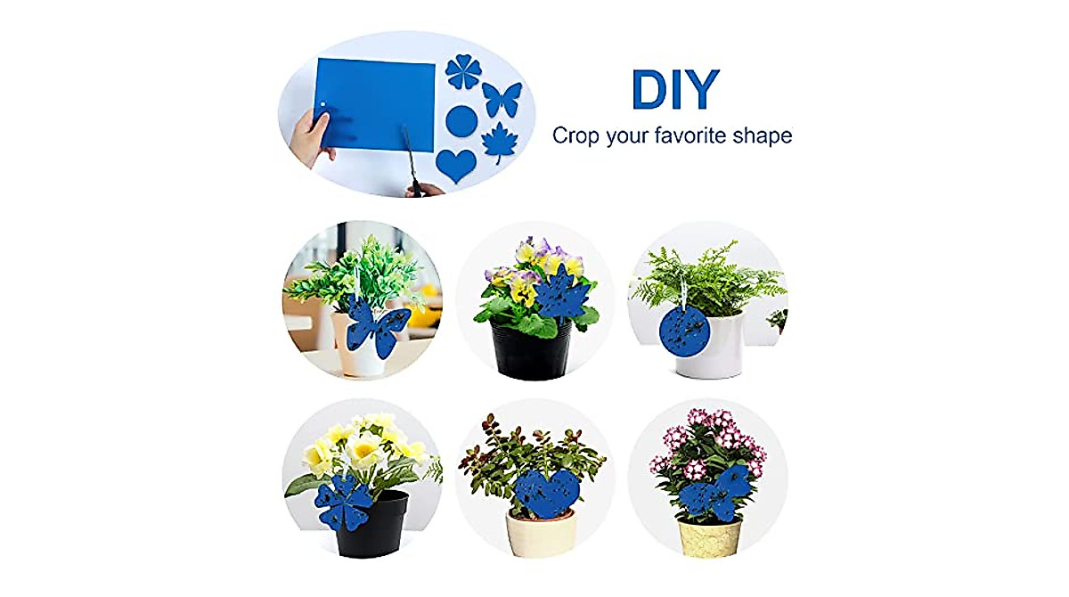 20 Pack Blue Sticky Traps for Indoor & Outdoor Pest Control
