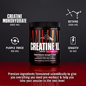Animal Creatine XL Powder - Enhanced Pre Workout Creatine Monohydrate Supplement - Support Brain Health, Delay Fatigue, Enhance Endurance, Improve Recovery, Men and Women - Fruit Punch