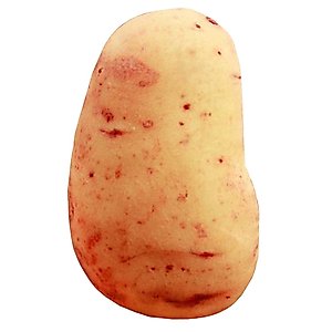 Fendawn Strive Cute Small Plush Stuffed Toy Sofa Bed Decorative Vegetables Throw Pillow, Potato